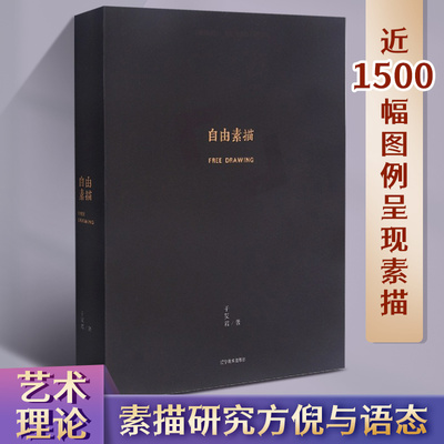自由素描 素描研究方倪与语态 于艾君500年大师经典素描肖像头像画册临摹向大师学人体速写作品美术素描技法教程书籍