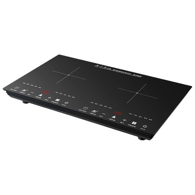 110V dual stove induction cooker with embedded dual head ele