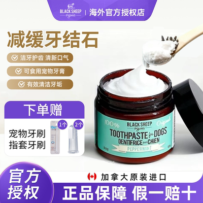 blacksheep狗狗牙膏去除口臭牙垢