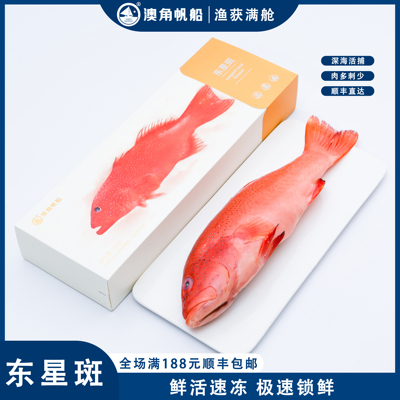 澳角帆船东山岛深海东星斑