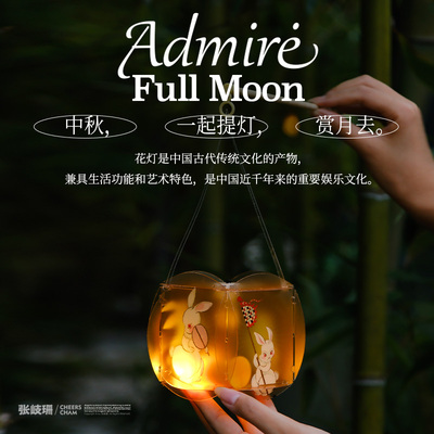 张岐珊马年新年灯笼可爱兔子手提灯创意手工diy中式古风儿童礼物