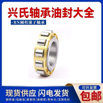 兴氏圆柱滚子轴承 RN202 203 204 205 206 207 208 209 210 EM