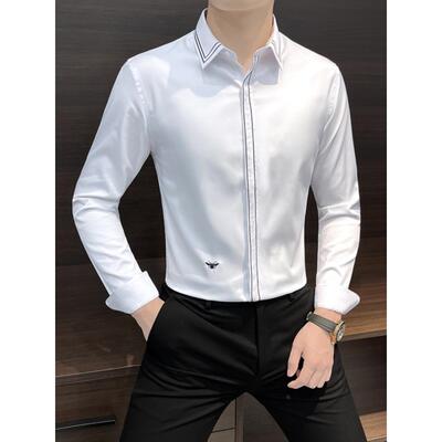 潮牌1212拼色条纹男式高级感痞帅衬衫长袖秋季男士商务刺绣白衬衣