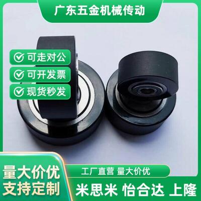 包胶d5轴承d6-d8-d10-d12/NAUTRR21BBG01/02/11/NAUGFR22/NAUGF31