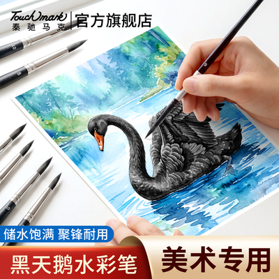 黑天鹅水彩笔美术绘画专用