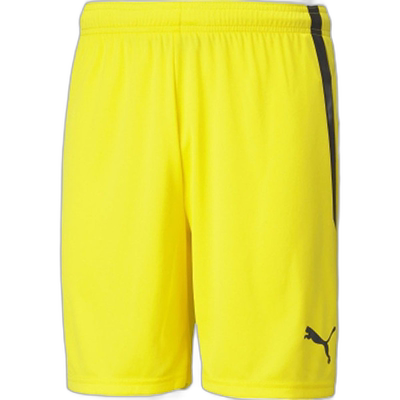 日本直邮PUMA TEAMLIGA 比赛裤足球训练服男子短裤 705151-07彪马