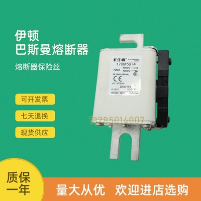 全新快速熔断器保险170M5975 170M5981 170M5982 W170M5983