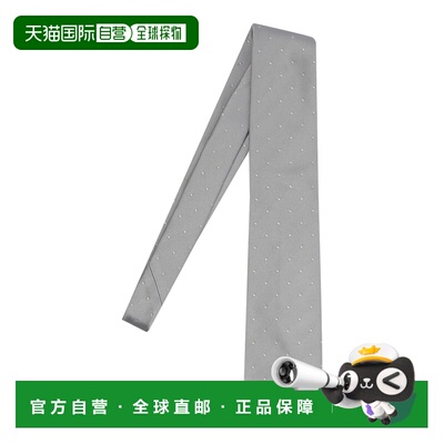 1h可退 香港直邮TOM FORD 男士领带 STE001S0338TAA AW2026 灰色