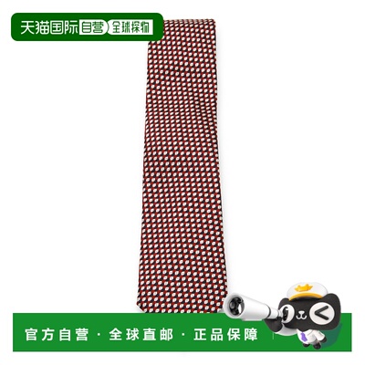 香港直邮zegna 杰尼亚 男士 傑尼亞印花領帶 Z2C85TA21P8领带