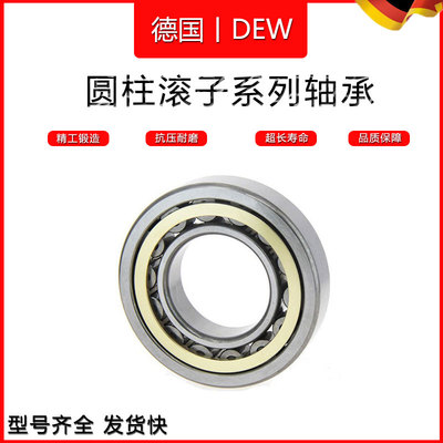 德国DEW进口圆柱滚子轴承NU203 NU204 NU205 NU206 NU207 NU208EM