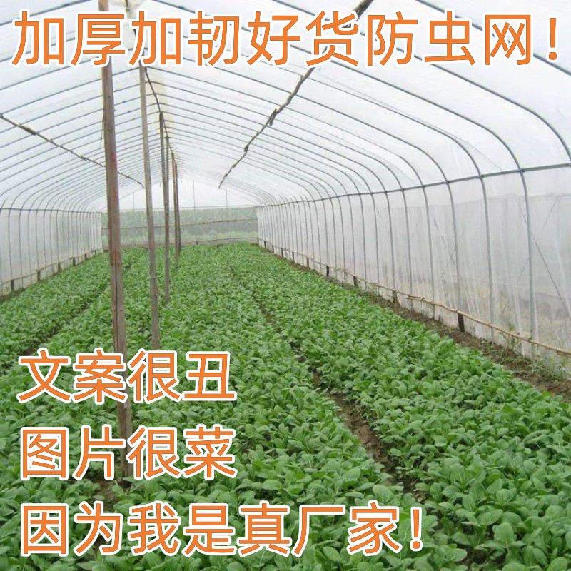 猪场防蚊网养殖场专用抗老化防虫网猪圈院子大棚尼龙纱网纱窗纱布