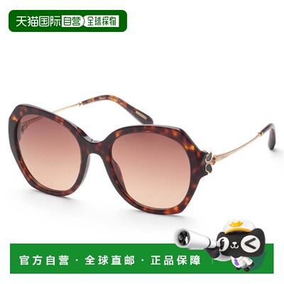 自营Chopard Women's 54mm Brown Yellow Havana Sunglasses - br