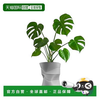 jonathan yBrent MidCentury 现代室内压碎罐环保 3D 打印花盆带