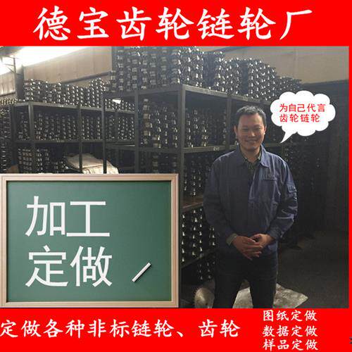 链轮定做双排链轮小链轮链条机械传动工业大链轮齿轮单排链轮加工