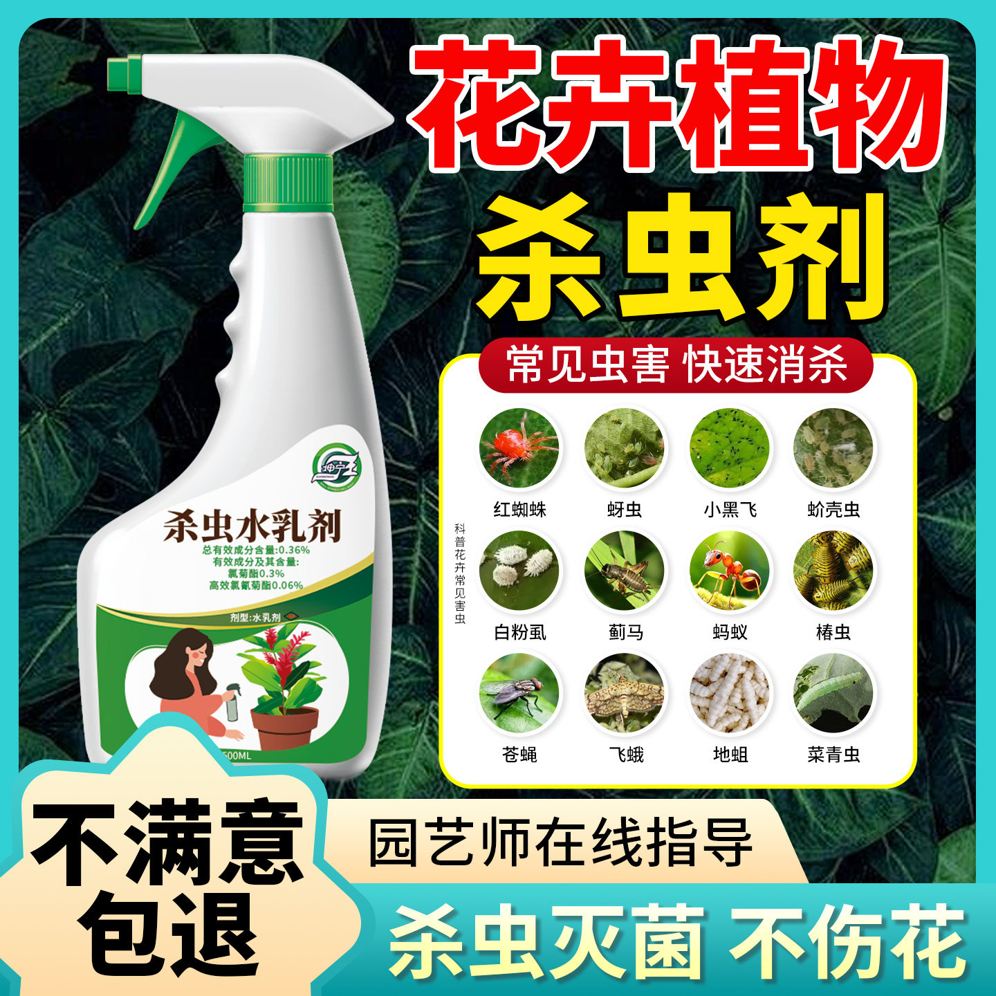 杀虫药花卉植物月季花病虫害常用药室内花杀虫剂通用除虫药剂蚜虫