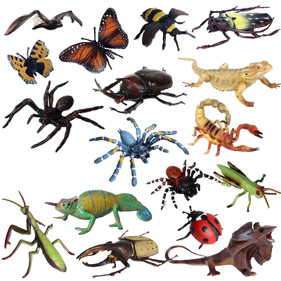 林畅模玩儿童仿真昆虫动物模型