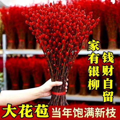 招财银柳真花鲜枝干花客厅摆件