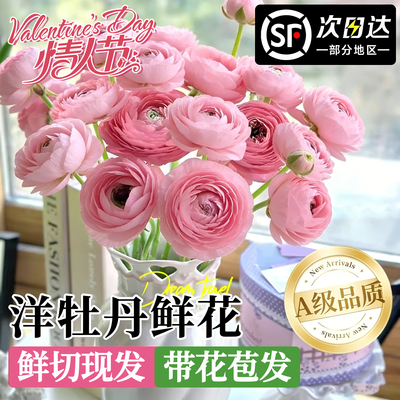 【顺丰次日达】洋牡丹鲜花云南发