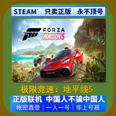 地平线5租号自动发货高端
