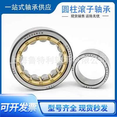 SKF圆柱滚子轴承NJ NU308 NU309 NU310 NU311 NU312ECM ECP ECJ