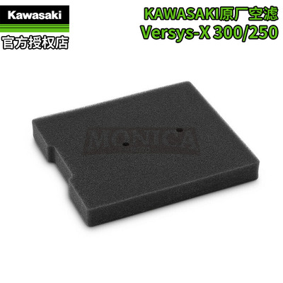 川崎KAWASAKI原厂Versys-X 300/250摩托机车空滤格空气滤清器滤芯
