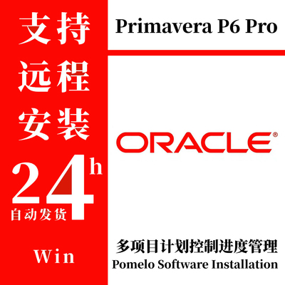 Primavera P6 Pro 25.12 中文多项目计划控制进度管理软件支持Win