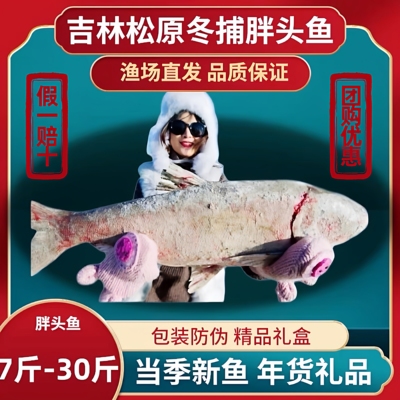 查干湖冬捕胖头鱼正品有机年货礼盒7斤-30斤渔场直发新鲜淡水鱼