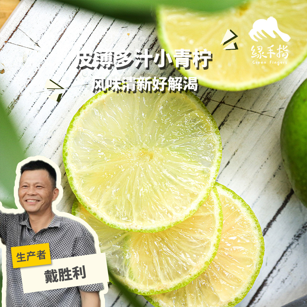 生态青柠檬 3斤/5斤 绿手指份额农园