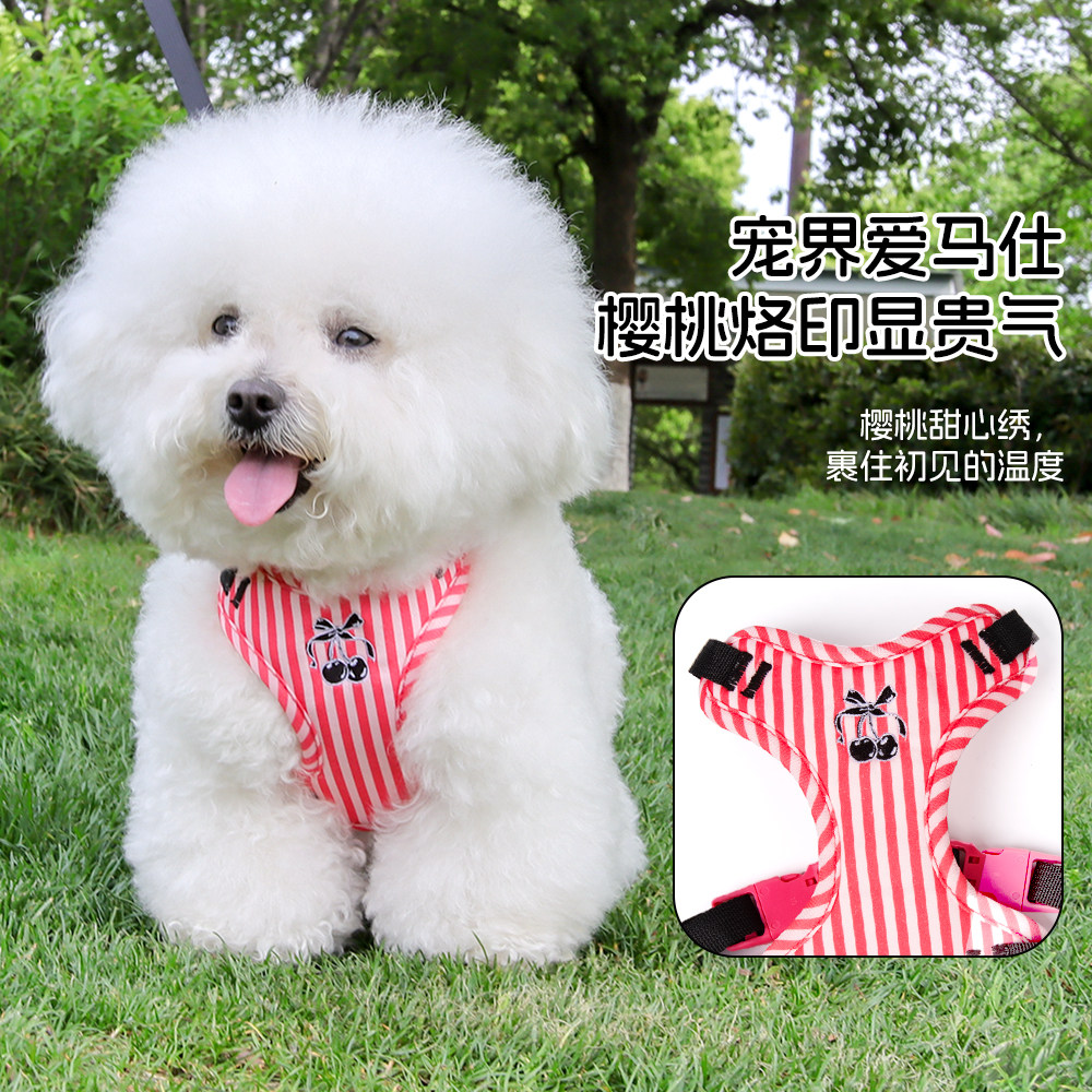 宠物背心式胸抱婴袋小狗狗牵引绳防挣脱可爱狗绳子中小型犬遛狗炼