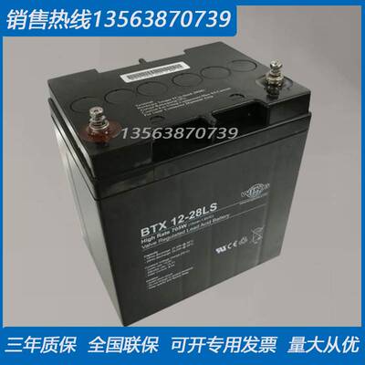 WING蓄电池12V28AH 应急备用电源 德国进口 铅酸免维护 BTX12-28L