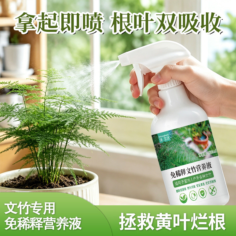 文竹专用肥文竹营养液免稀释文竹营养液治黄叶植物生长液体无机肥
