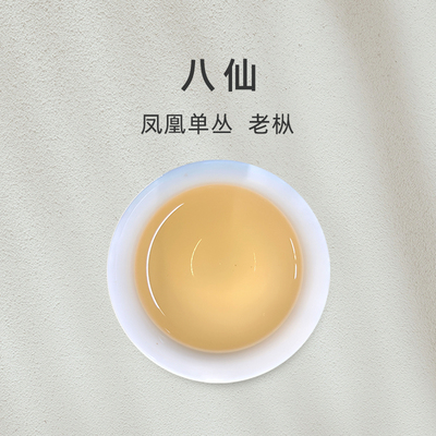 「老枞八仙」芝兰香 凤凰单丛两道火【百味茶集】@关乎于茶茶友会