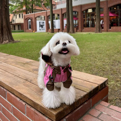 狗狗雨衣四脚防水小型犬专用博美约克夏冲锋衣雨披可牵引宠物户外