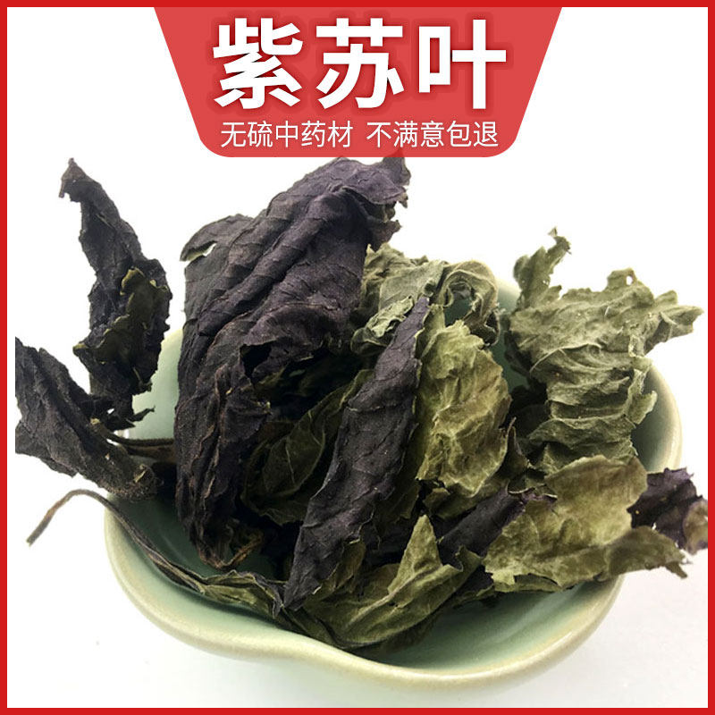 紫苏叶250克河北新鲜紫菜皱苏尖苏香苏叶鸡冠紫苏