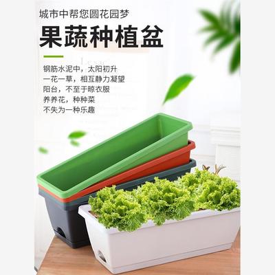 VegetablepotsfwerPnc