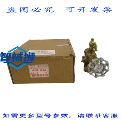 原装供应 ERNST FLOW 37A 500PSI 3/4 NSMP