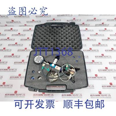 供应TAISHIO TS-DPG-110 压力校准器 IP65不同的方式