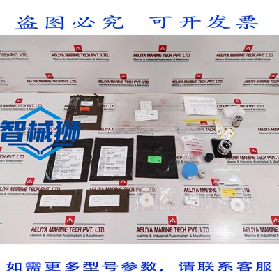 原装供应 海洋工程 100755RK 阀门 活塞 0.5 SPM 阀门 100749-B R