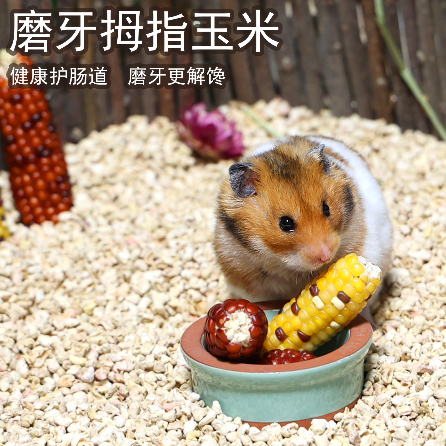 仓鼠磨牙棒玉米金丝熊造景小零食营养美味鼠类零食避免牙齿生长