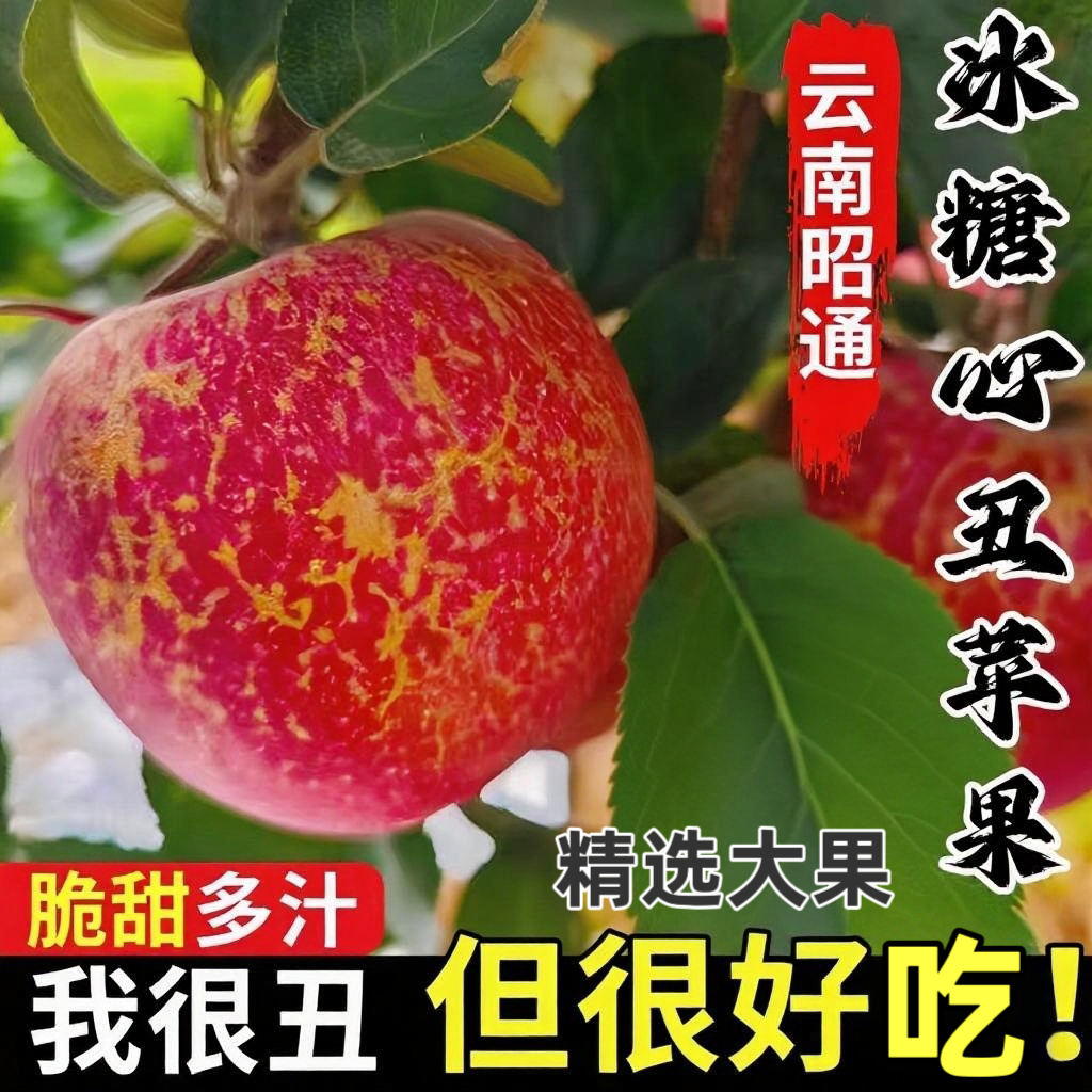 正宗云南昭通脆甜红露红富士冰糖心丑苹果应季新鲜水果现摘现发