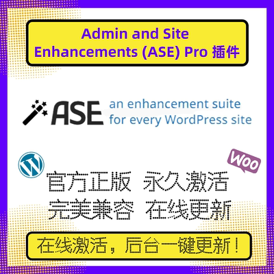 Admin and Site Enhancements 高级版 ASE Pro 插件 WP站点管理