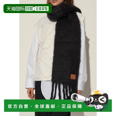 LOEWE 女士围巾 FSA6SS1X051100 SS2026 灰色 Scarf in mohair an