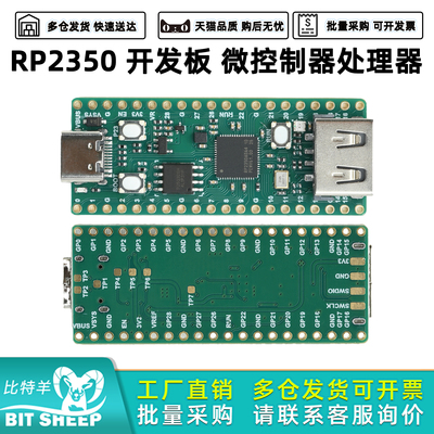 RP2350开发板微控制器处理器
