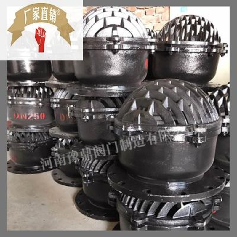 厂家直销 升降式铸铁n法兰底阀 水下底阀水笼头止回阀 单向阀DN10