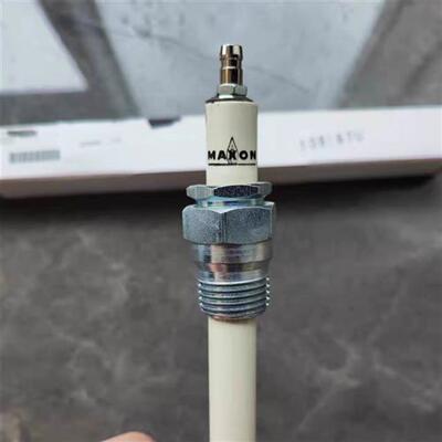 议价火花塞点火棒1081869原装正品