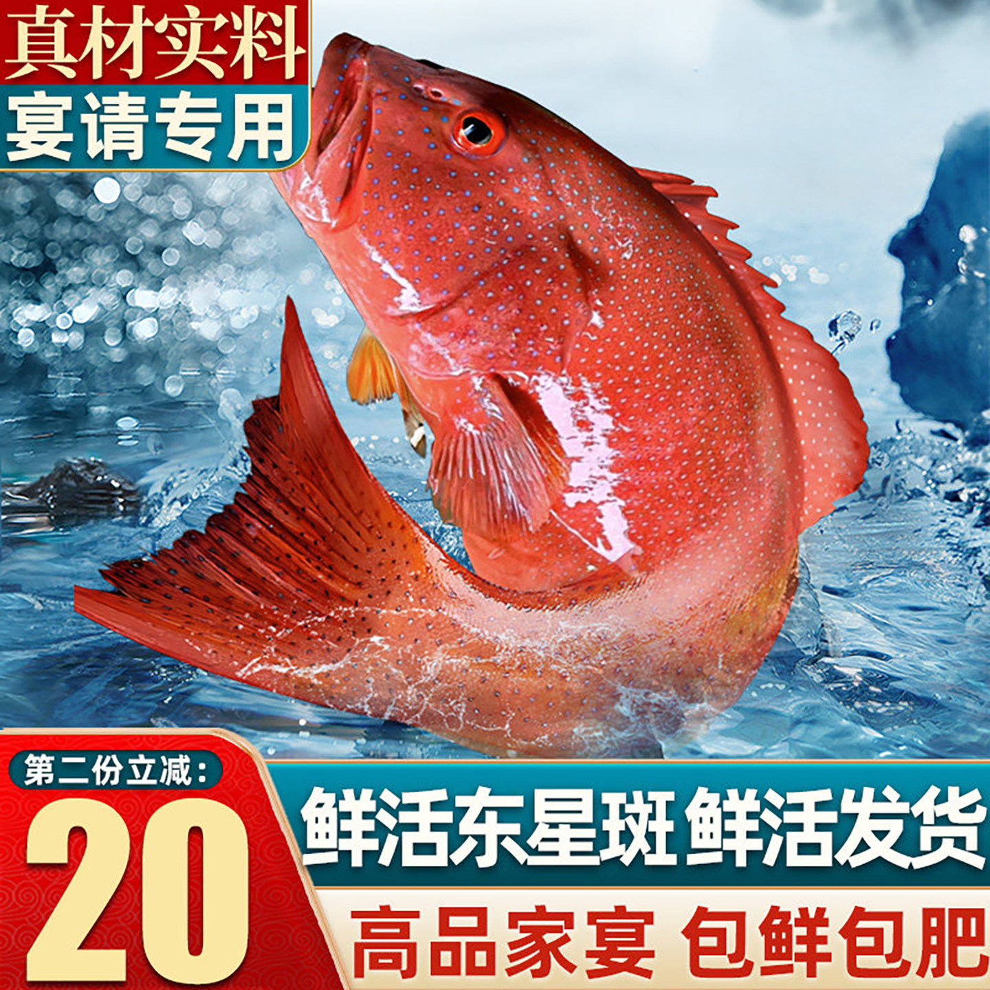 【鲜活发货】东星斑鲜活深海海捕老虎斑鱼非冷冻海鲜水产年货礼盒