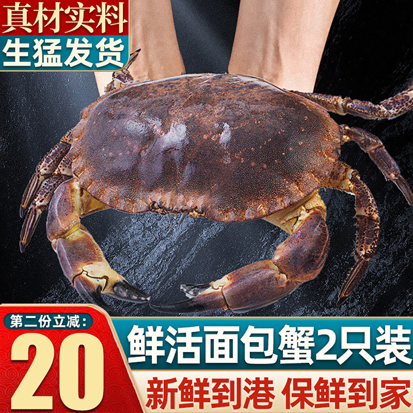 【活蟹】面包蟹鲜活帝王蟹海鲜水产超大特大螃蟹黄金蟹熟新鲜