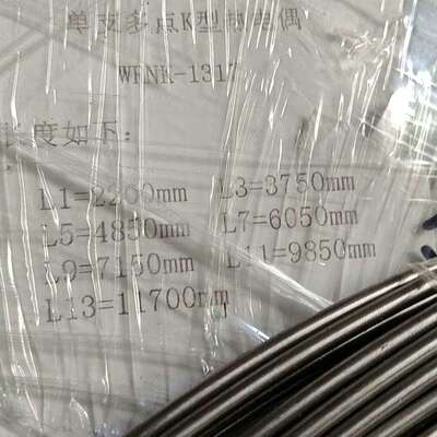 议价单反多点K型热电偶WFNK-1317，长度规格L1=2200