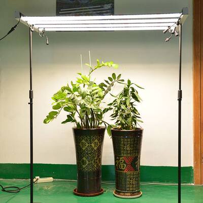 全光谱LED植物补光灯 640W长方形多肉仿太阳光可调大棚植物生长灯