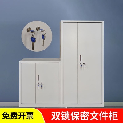 双人双锁保密文件柜学校档案柜试剂柜药品柜毒麻柜铁皮柜资料柜